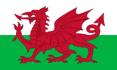 Flag Of Wales - TheFlags.org