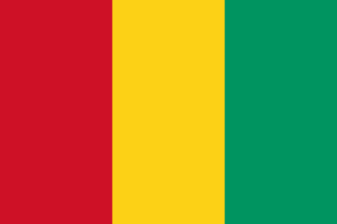 Flag Of Guinea - TheFlags.org