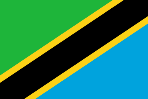 Flag Of Tanzania - TheFlags.org